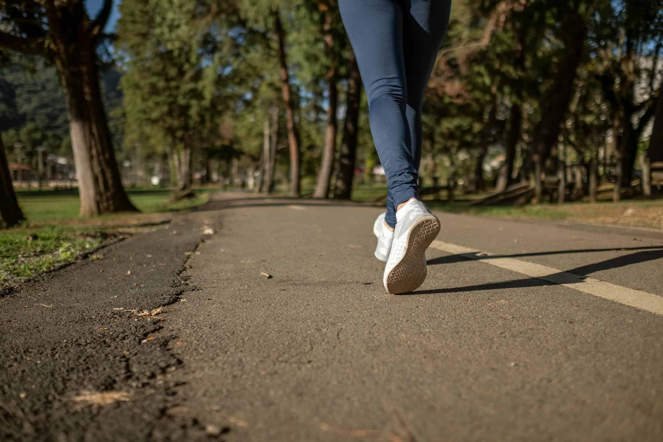 10 Best Walk and Earn Apps in India 2024 | Gearfuse