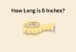 How Long is 5 Inches? (10 Things That Are 5 Inch Long) | Gearfuse