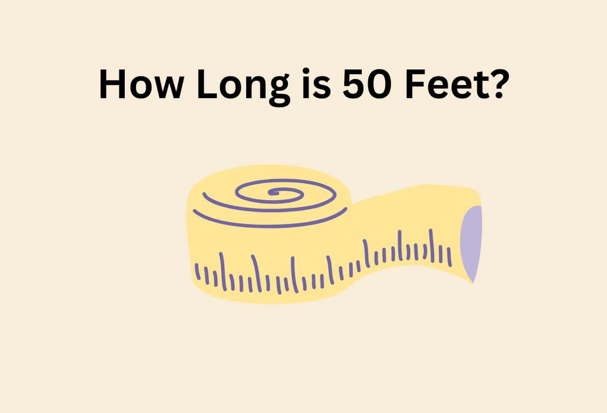 How Long is 50 Feet? (10 Things That Are 50 Feet Long) | Gearfuse