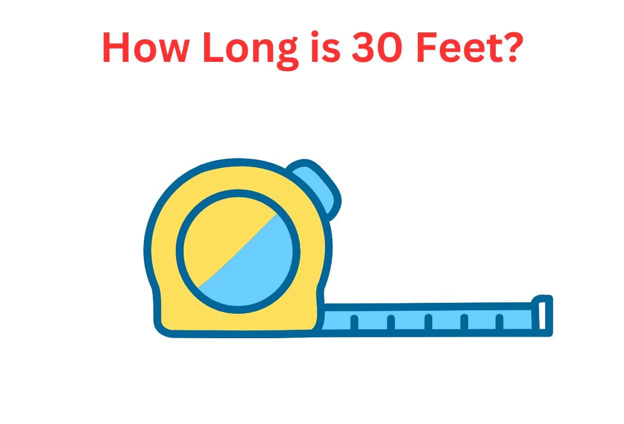 10 Things That Are 30 Feet (ft) Long | Gearfuse
